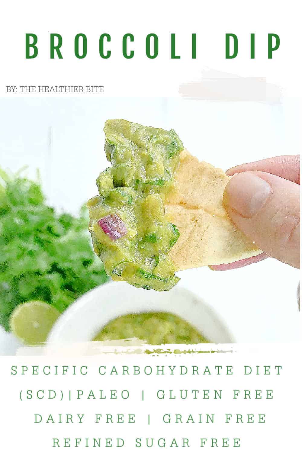 Healthy Broccoli Dip (SCD, Paleo. Whole30, Dairy Free)